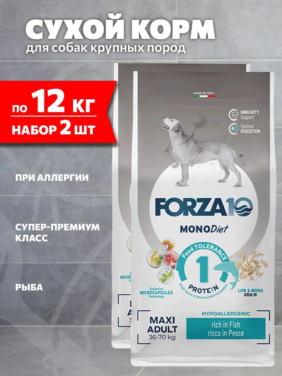 Корм сухой Forza10 Dog Maxi Monodiet Low Grain для взрослых собак крупных пород при аллергии с рыбой, 12 кг х 2 шт