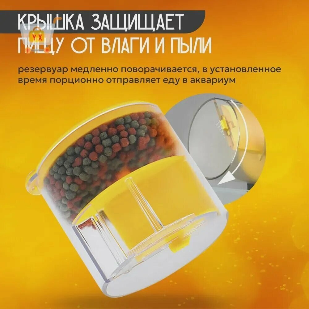 Автокормушка — фото 1