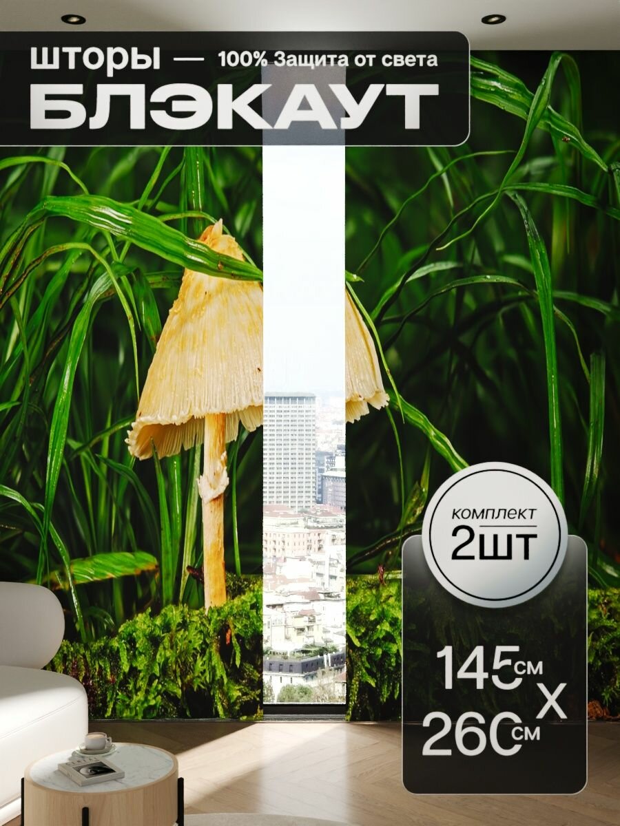 Шторы блэкаут 145x260 см 2 шт на окна плотные комплект