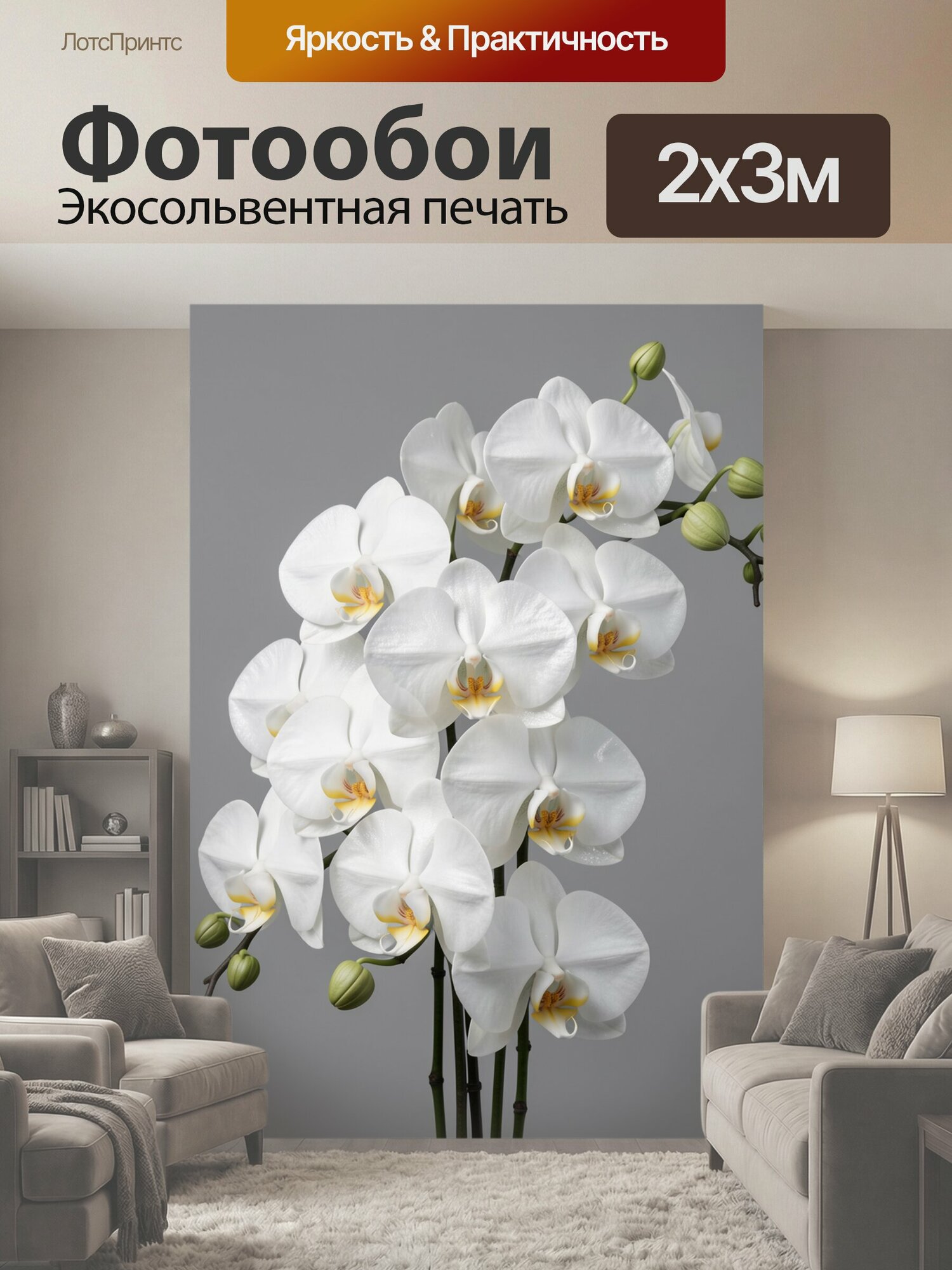 Фотообои "Белые орхидеи на сером фоне. Элегантная цветочная композиция с крупными белоснежными лепестками и зелёными бутонами на нейтральном." 200x300 см. экосольвентная печать