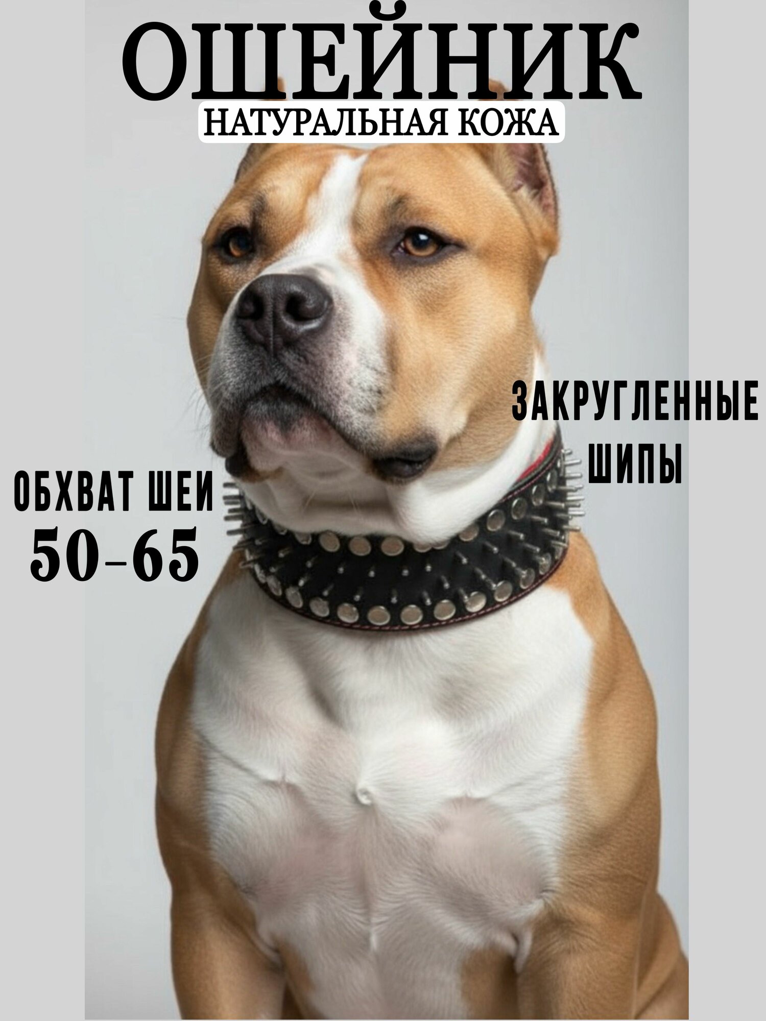 Ошейник с шипами для крупных пород собак, обхват 50-65см