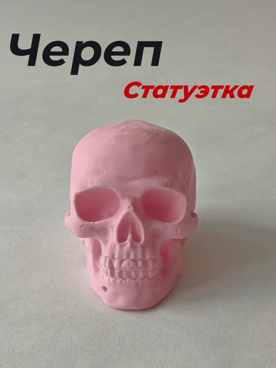 Череп