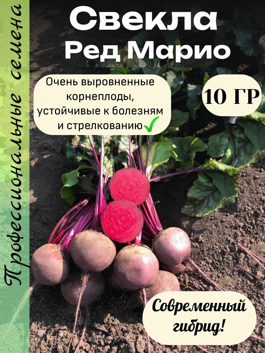 Семена Свекла Ред Марио 10гр