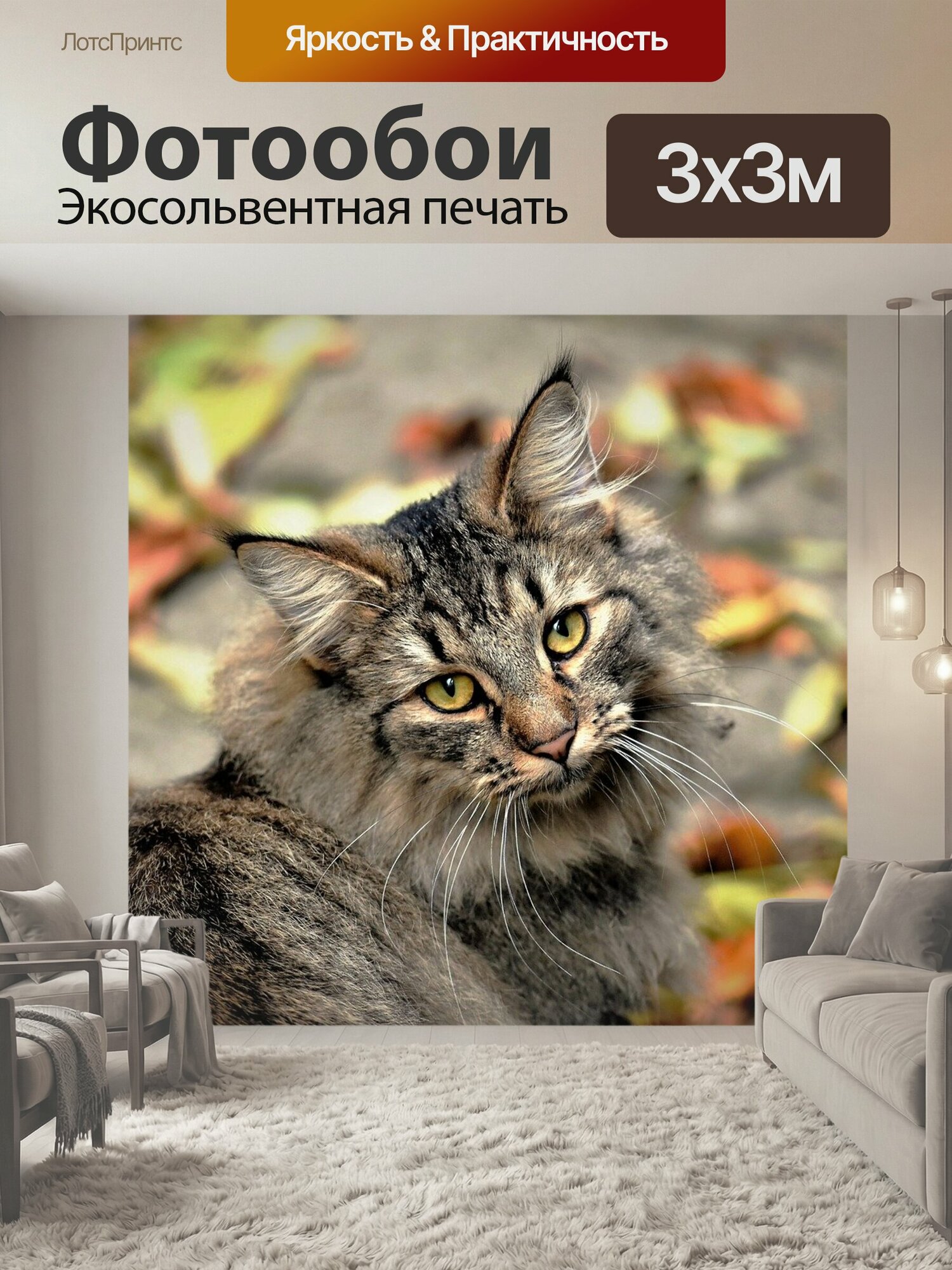 Фотообои "Кот, соседние кошки, дикий кот" 300x300 см. экосольвентная печать