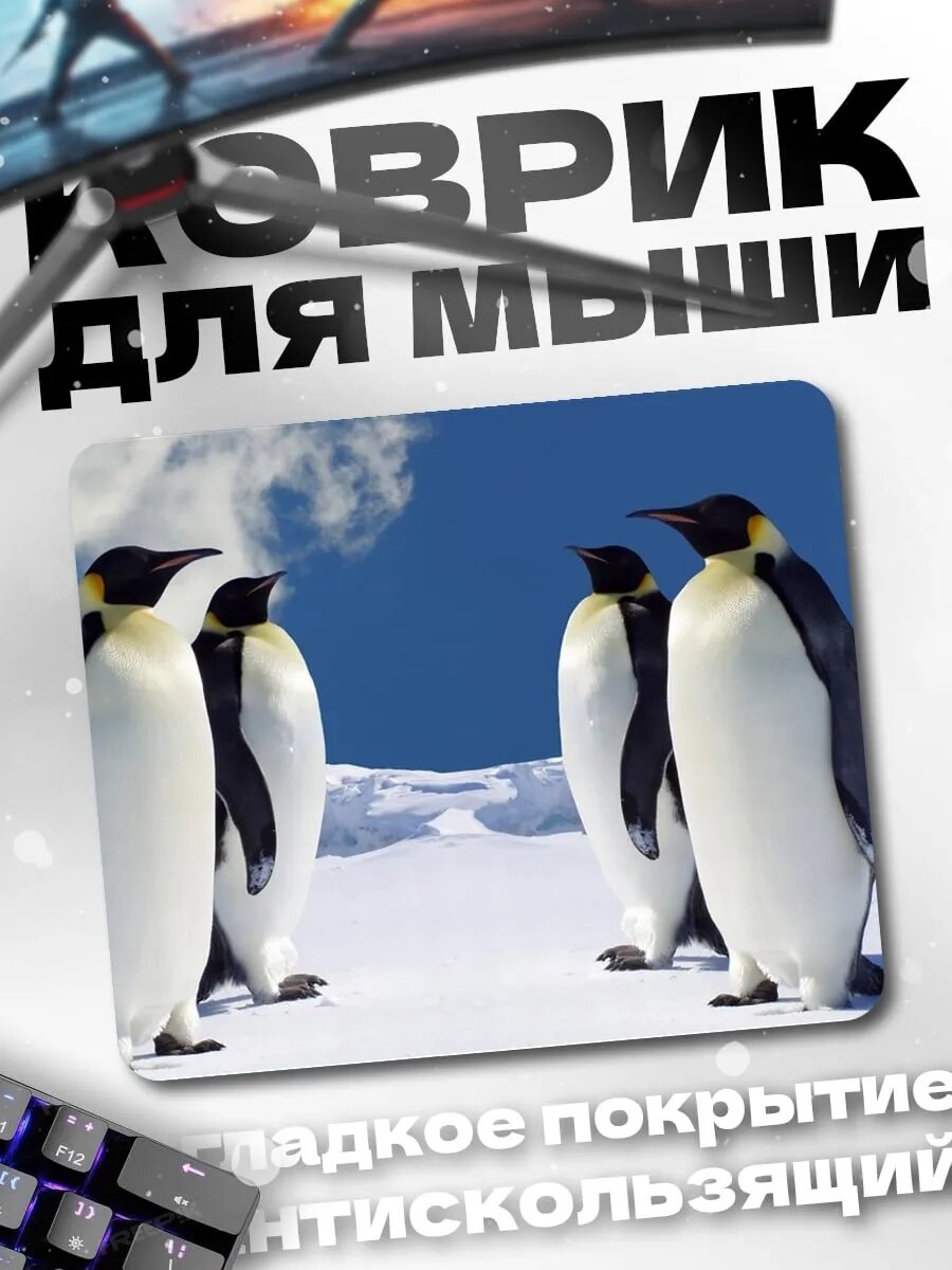 Коврик для мыши Пингвины на снегу