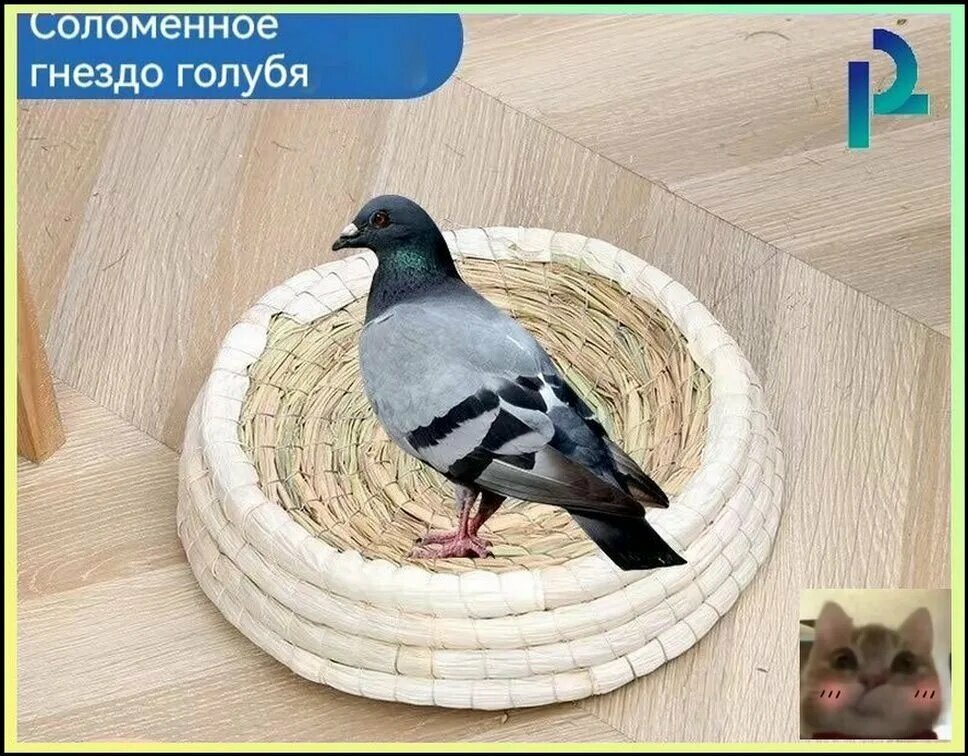 Голубиное гнездо-Скидка