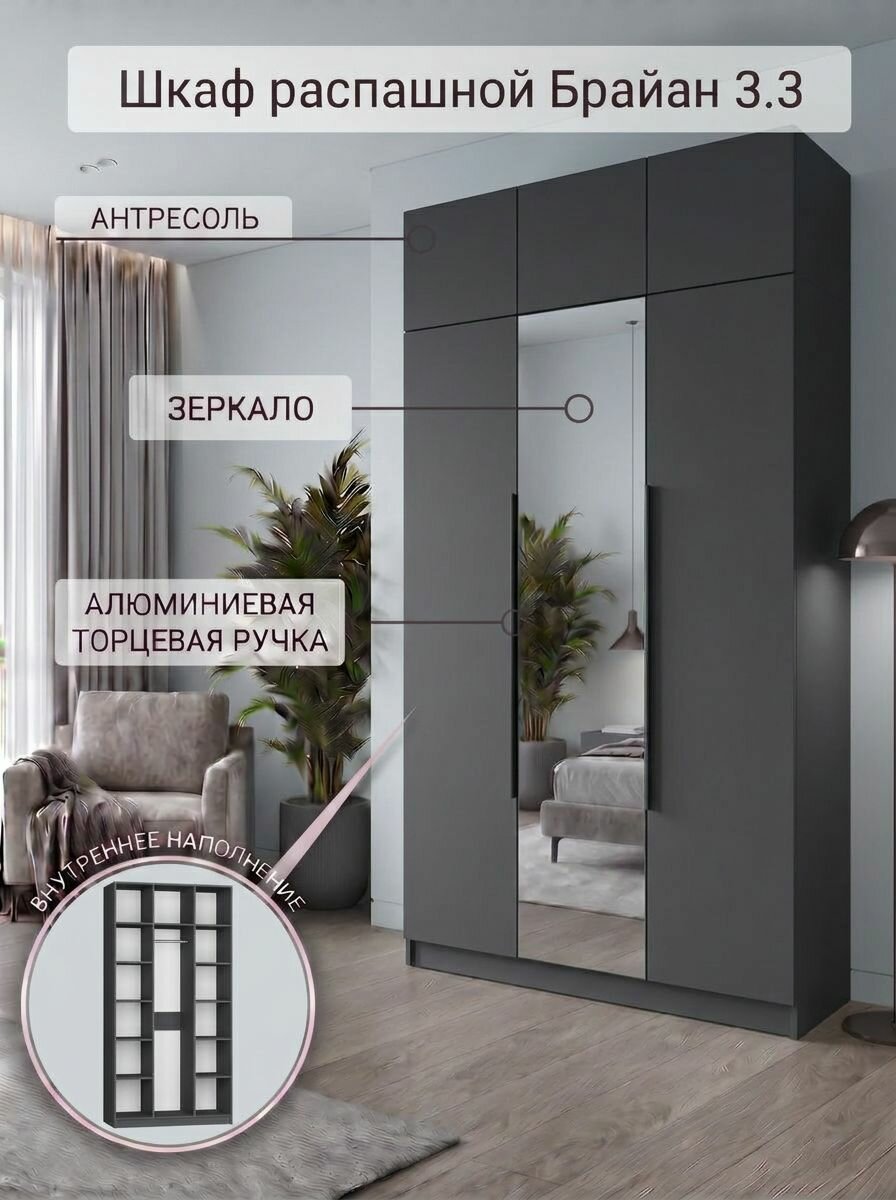 Распашной шкаф с зеркалом Брайан 3 120-55-220 графит белье-платье-белье