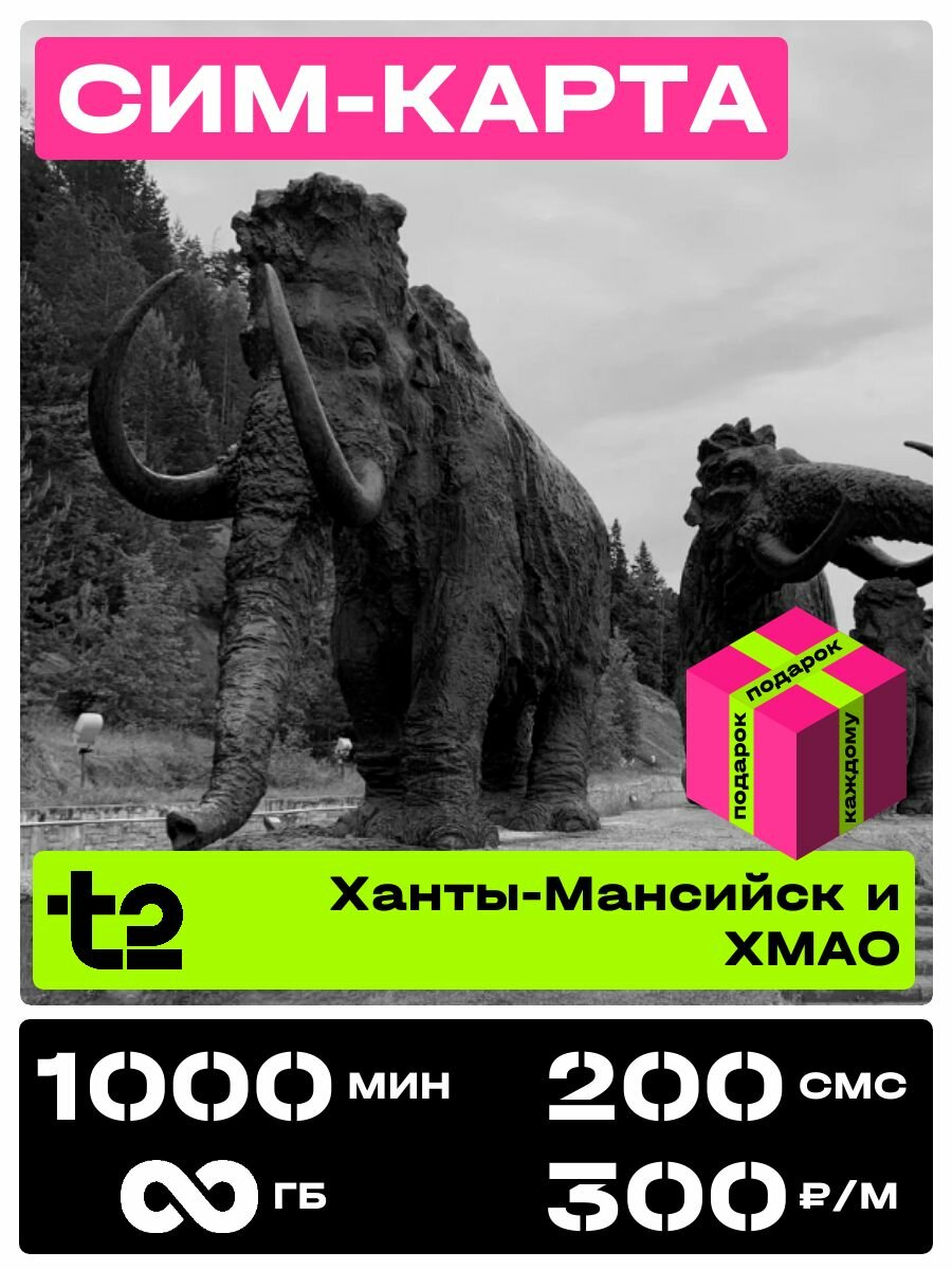 Сим карта теле 2 с безлимитным интернетом. t2 SIM-карта тариф Партнер М хмао. 1000 минут за 300 рублей в месяц.