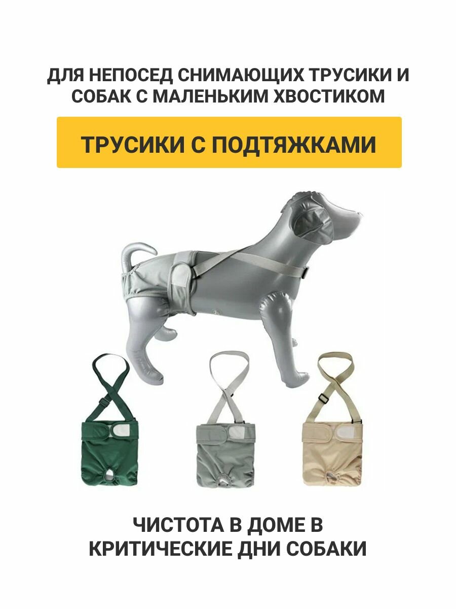 Подгузники для животных