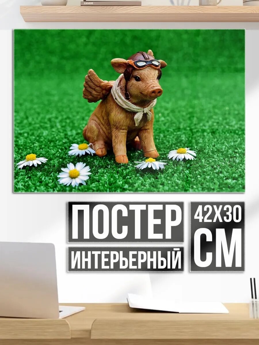 Плакат постер Летающий поросенок