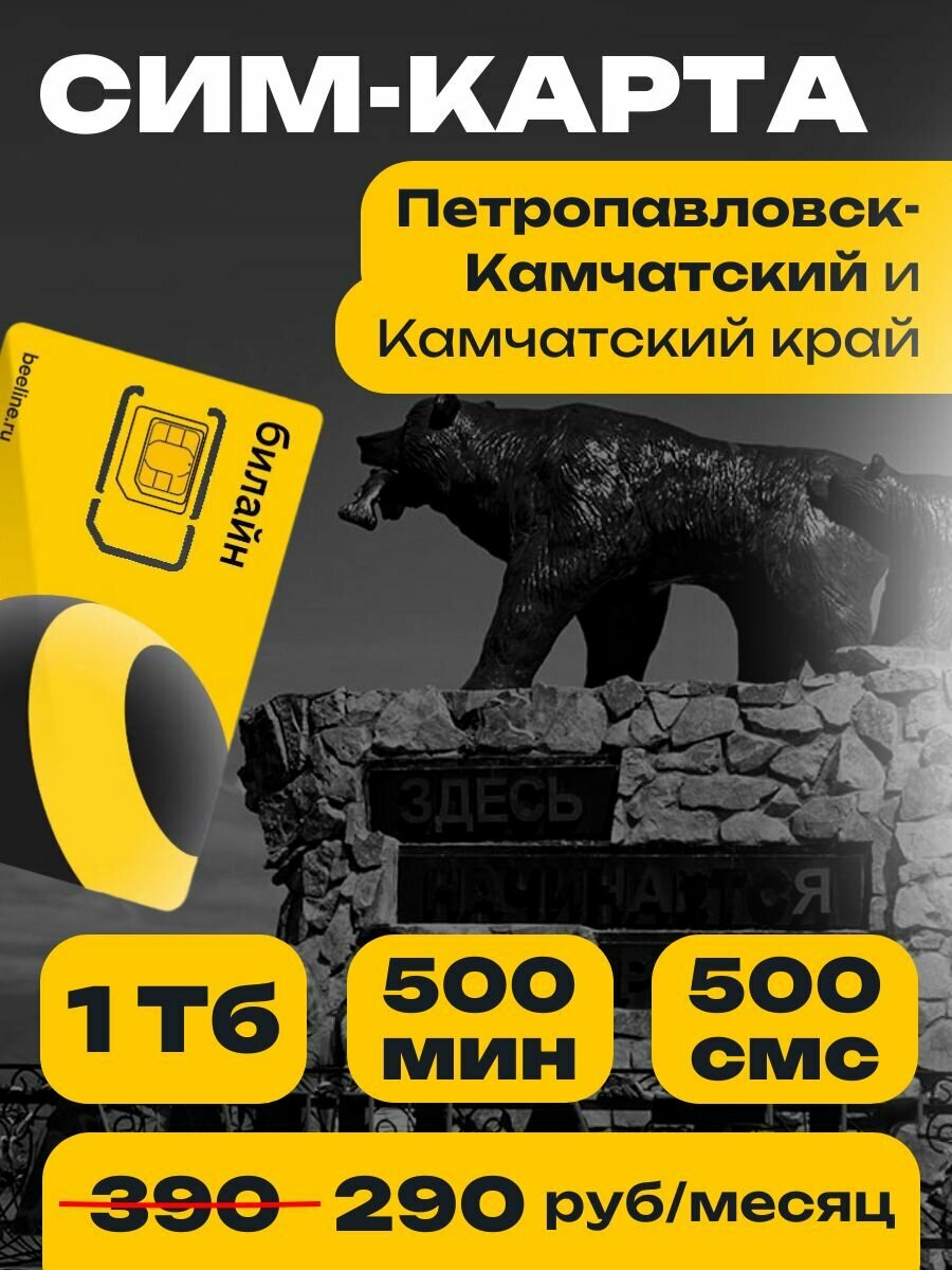 Сим-карта Билайн тариф Эксклюзивный Камчатский Край 1024 Гб + 500 минут за 290 руб.