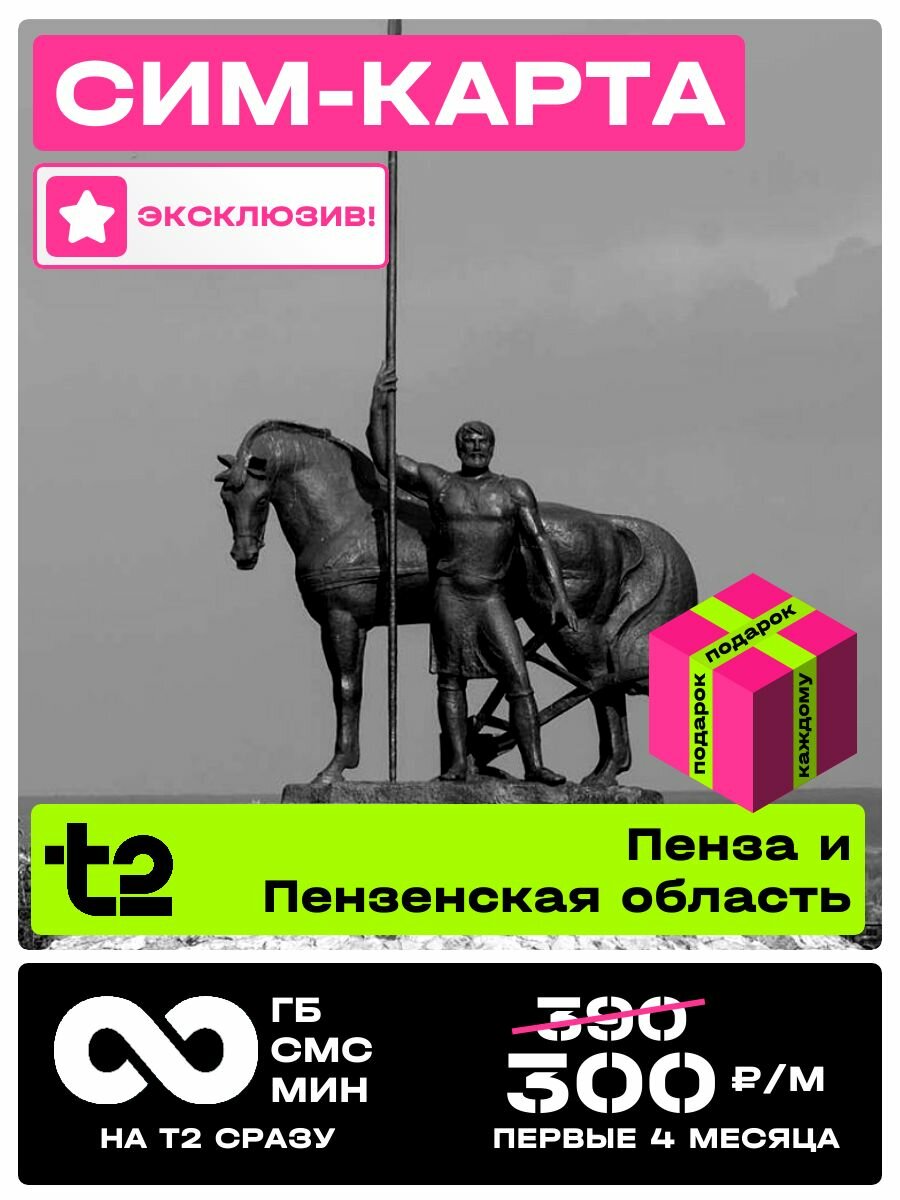 Сим карта теле 2 с безлимитным интернетом и минутами. t2 SIM-карта тариф хватит Пензенская область. За 300 рублей в месяц.