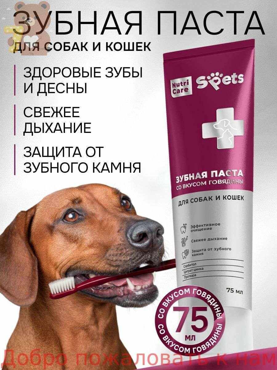 Зубная паста для собак и кошек со вкусом говядины, от запаха, от зубного камня 75 мл, Spets