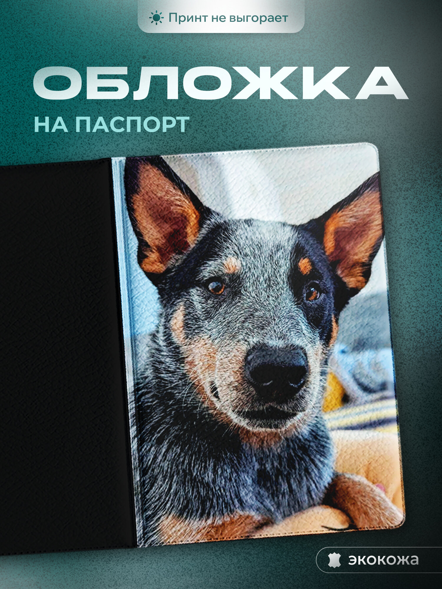 Обложка для паспорта