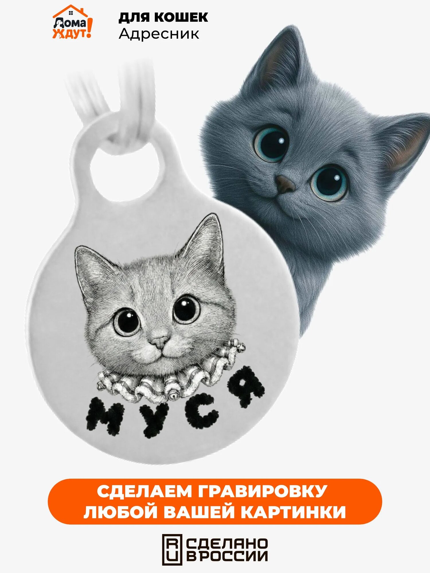 Именной адресник для кошек, с лазерной гравировкой. Жетон из нержавеющей стали Дома ждут!