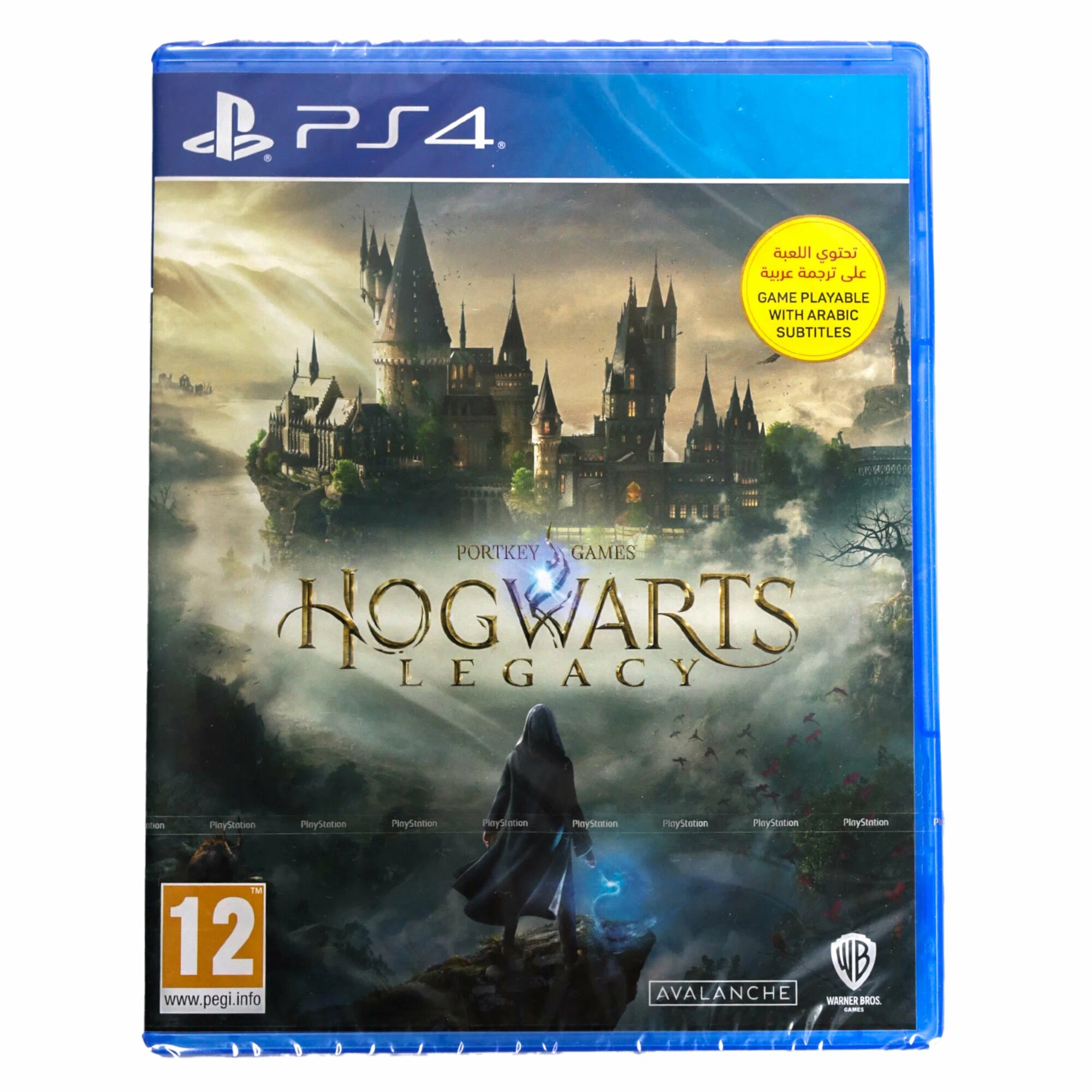 Hogwarts Legacy PS4