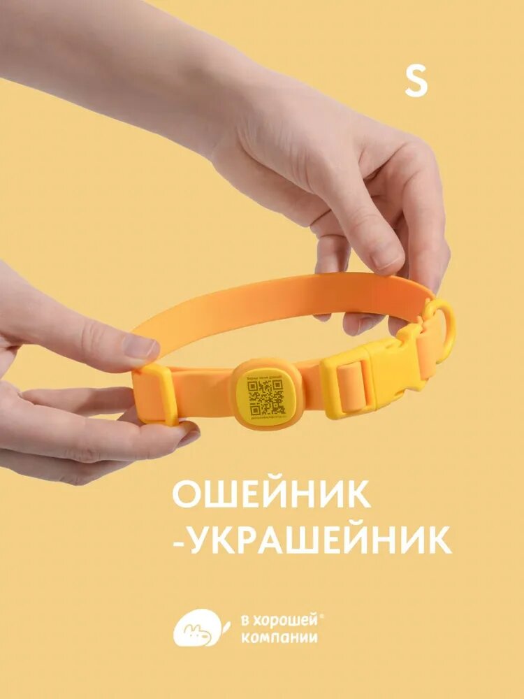 Водонепроницаемый ошейник с адресником для собак мелких пород IN GOOD COMPANY В хорошей компании (S / желтый / неотан)