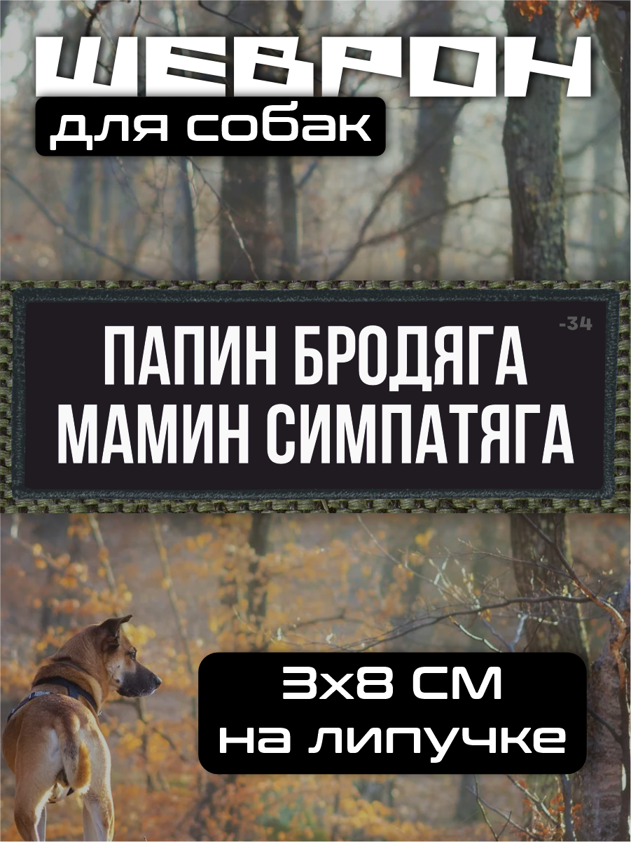 Шеврон на липучке для собак Папин бродяга мамин симпатяга