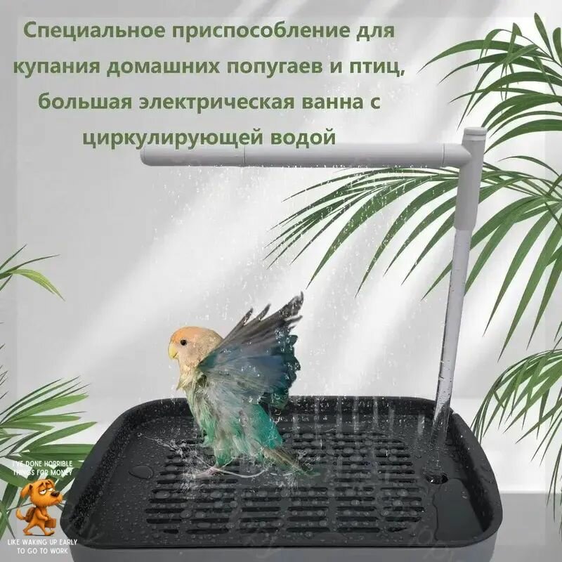 Душ для попугая-Специальное приспособление для купания домашних попугаев и птиц, Бесшумный, Регулируемая скорость потока-маленькийещё
