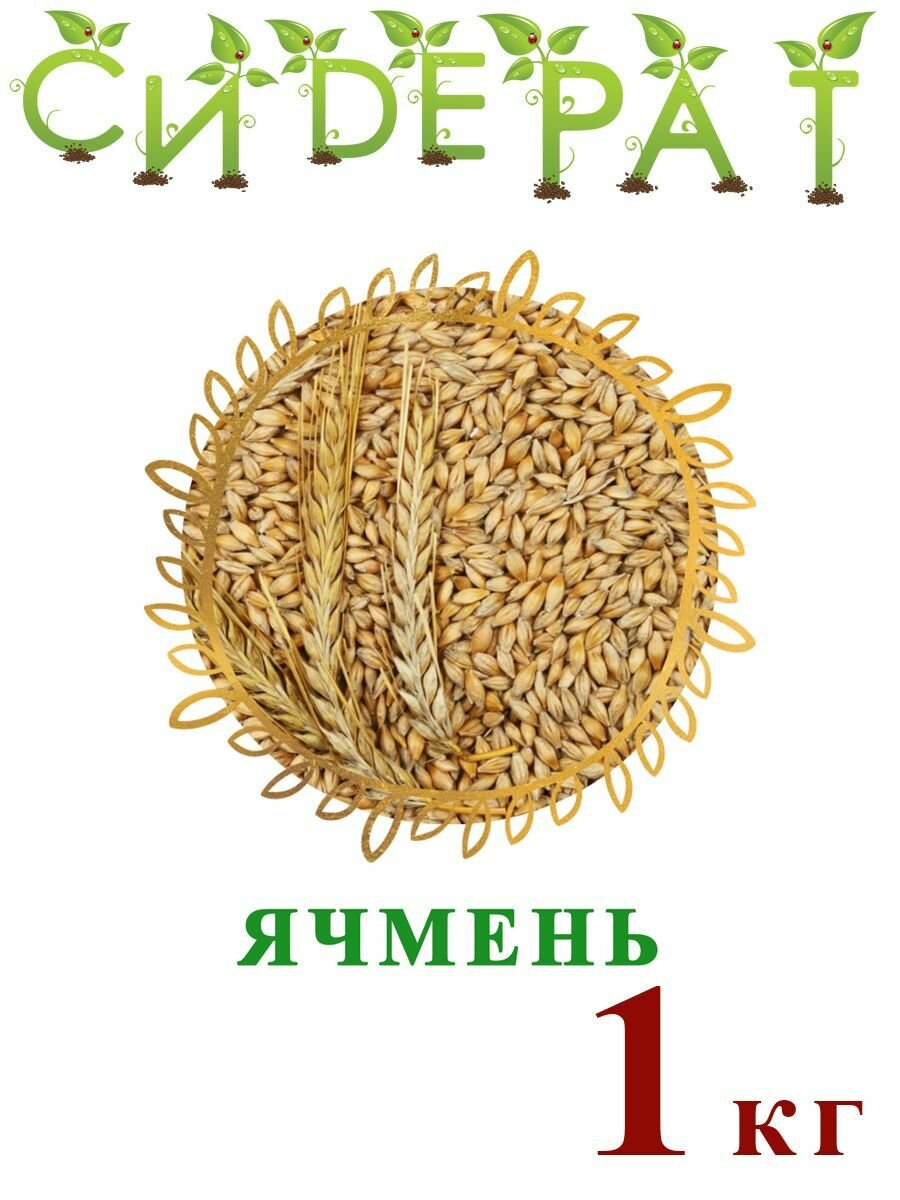 Сидерат Ячмень 1 кг.