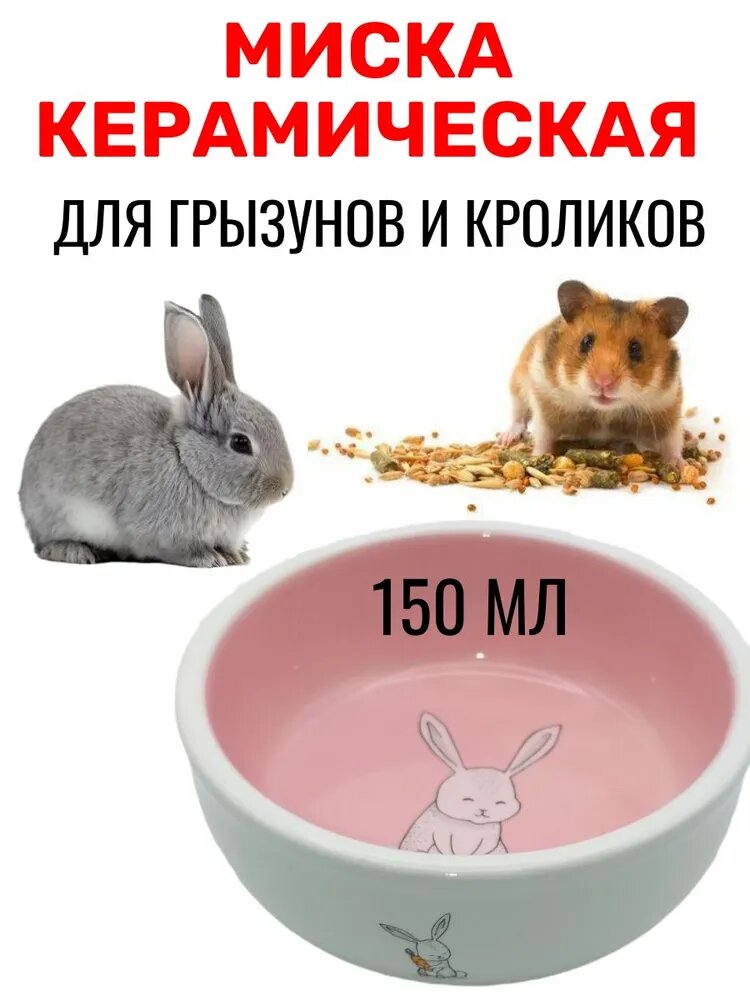 Миска для животных