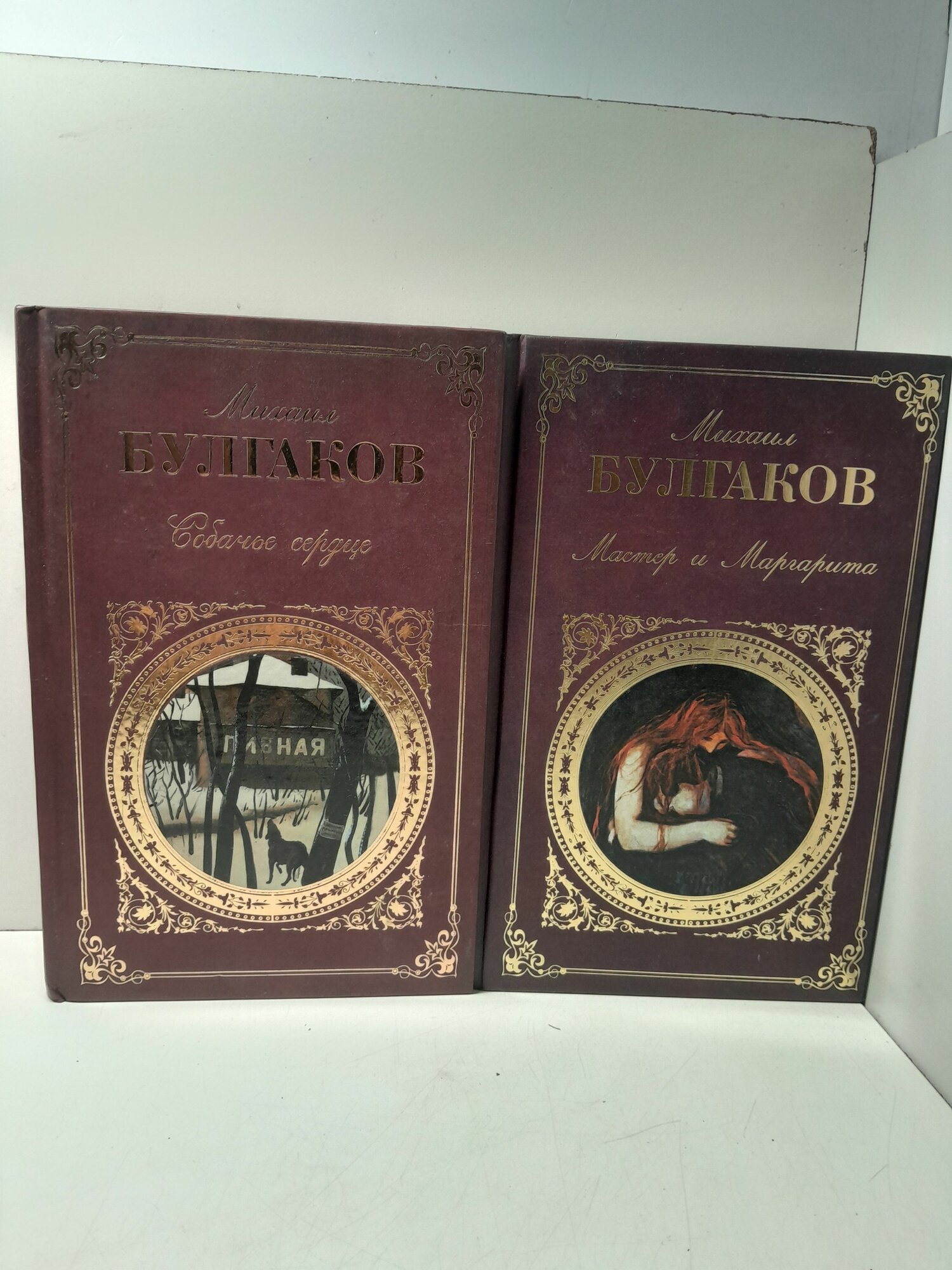 Мастер и Маргарита. Собачье сердце ( 2 книги ) / М. А. Булгаков