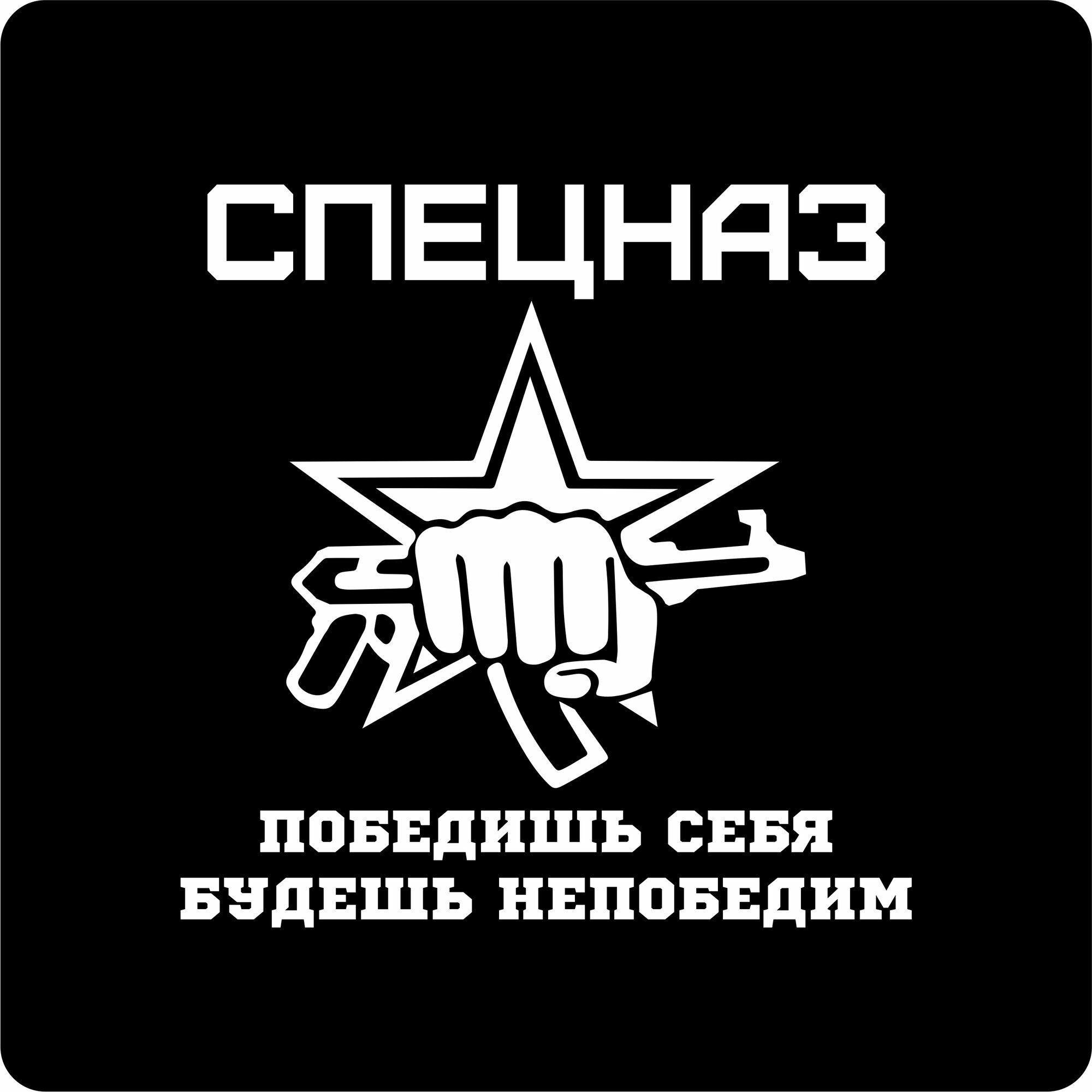 Наклейка на авто Спецназ 25х24 см