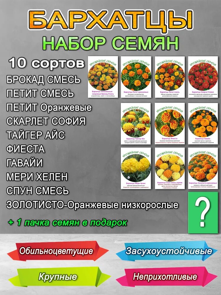 Семена Бархатцев, Набор 10 сортов