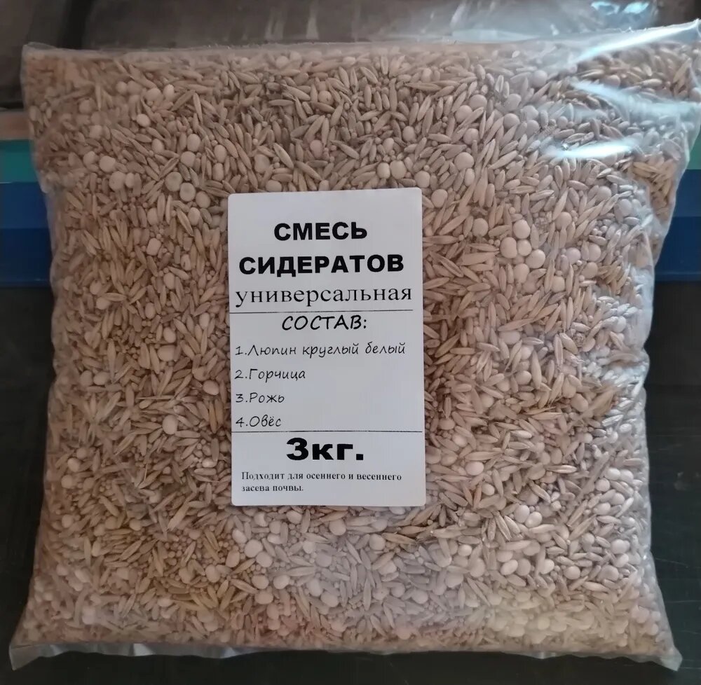 Семена