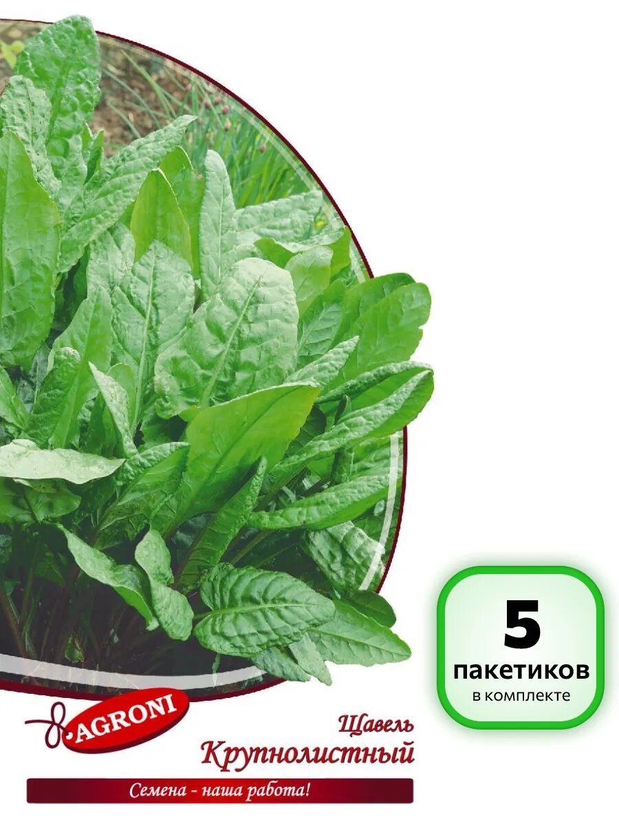 (5 шт.) - Семена Щавель крупнолистный (1,0г)