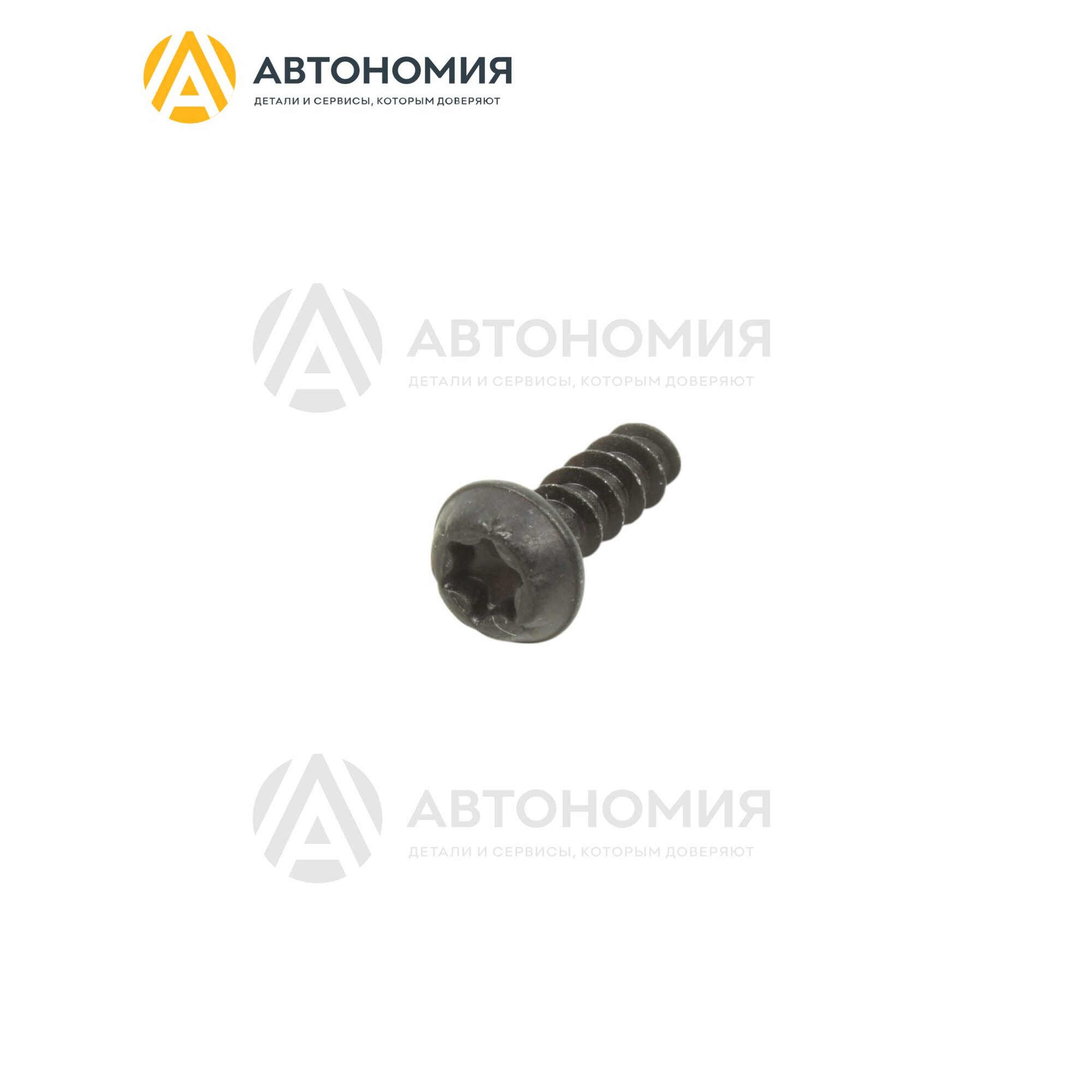 Саморез с внутренним torx VAG N10 415 903
