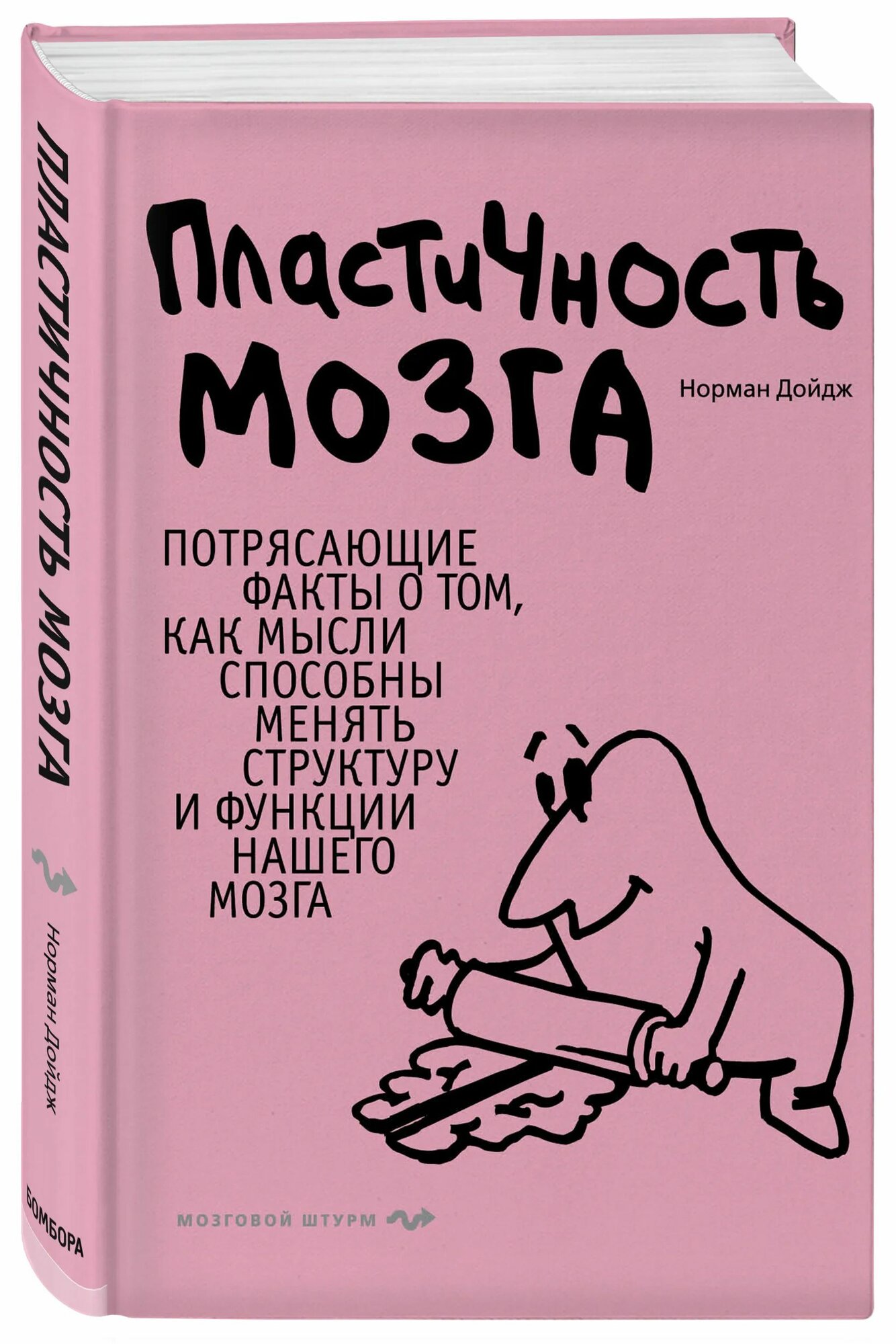 Пластичность мозга. Потрясающие факты о том, как мысли способны менять структуру и функции нашего мозга