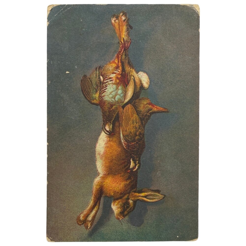 Почтовая открытка "Охотничьи трофеи. Заяц и дичь" 1900-1917 гг. Германская Империя