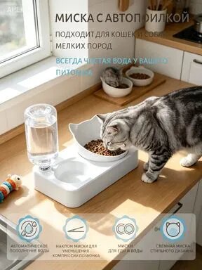 Двойная миска для животных на подставке для воды и корма / Миска с чашей под наклоном / Автопоилка для кошек и собак, Master-Pokupok