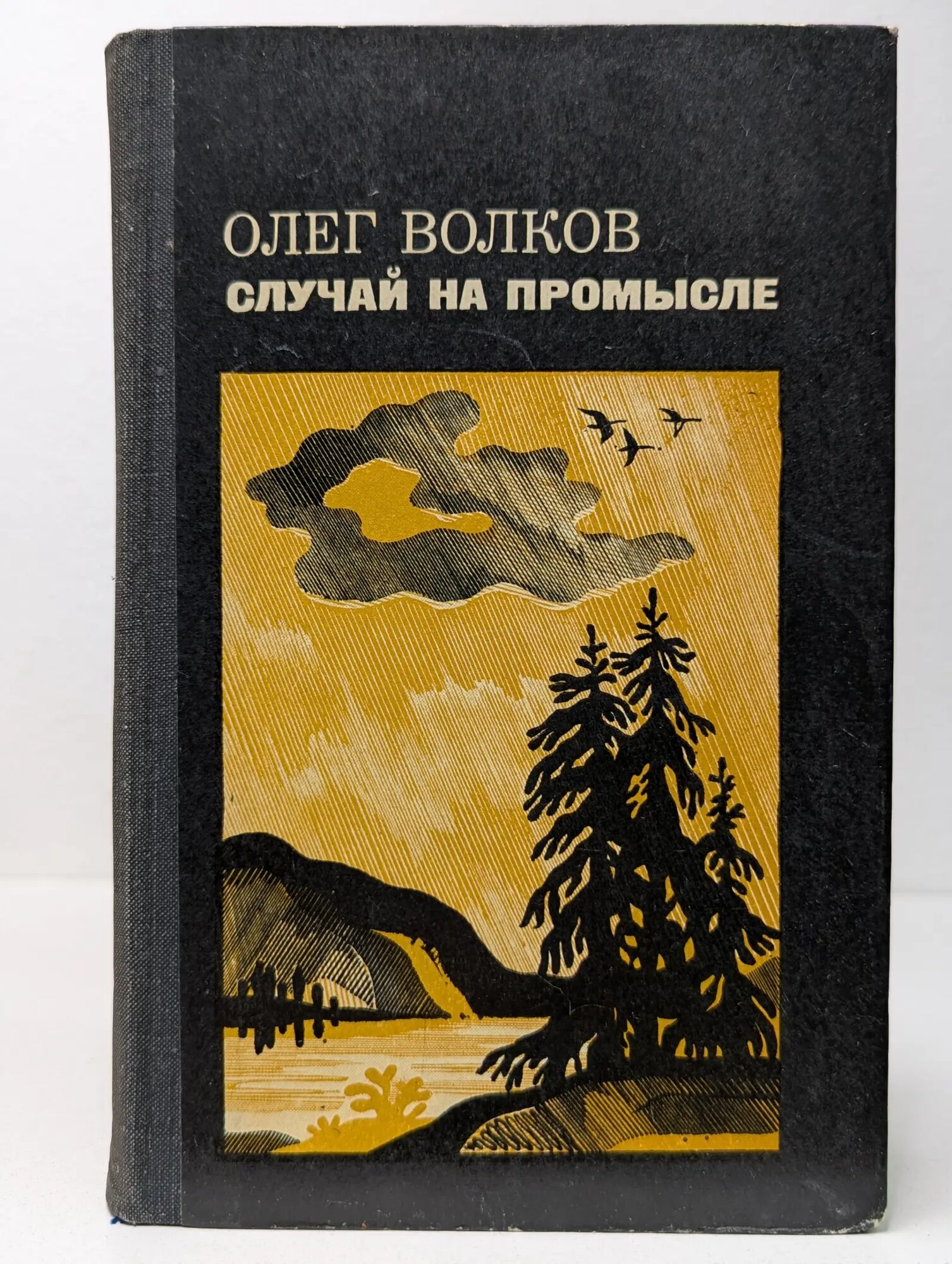 Случай на промысле Волков Олег Васильевич 1980