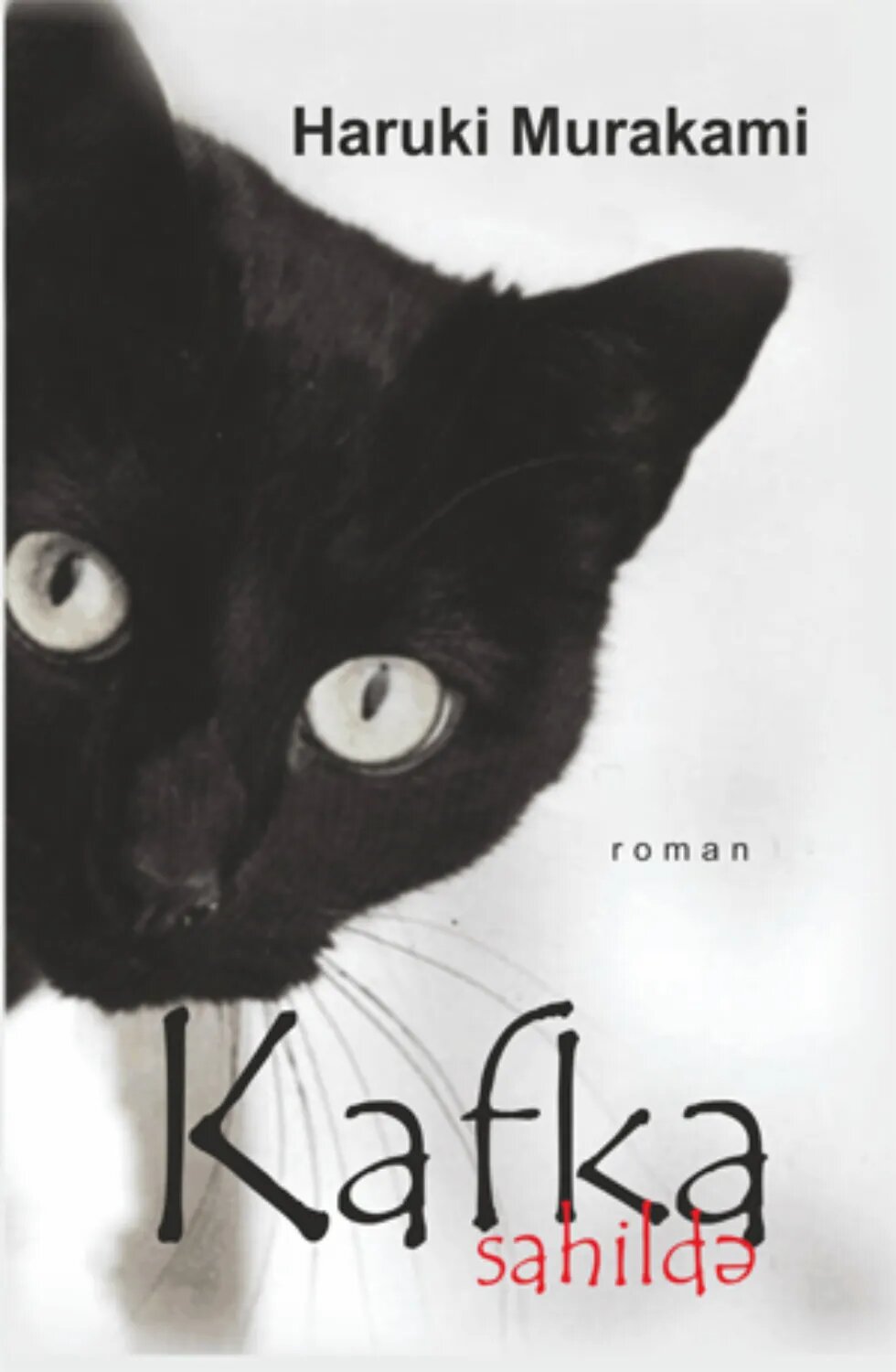 Kafka Sahildə [Цифровая книга]