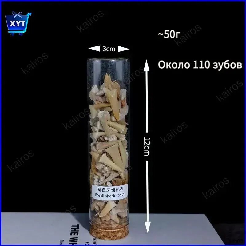 Настоящие окаменелости зубов акулы в стеклянной бутылке, 110 штук ( 50г), палеонтологический образец, коллекционный набор, подарок