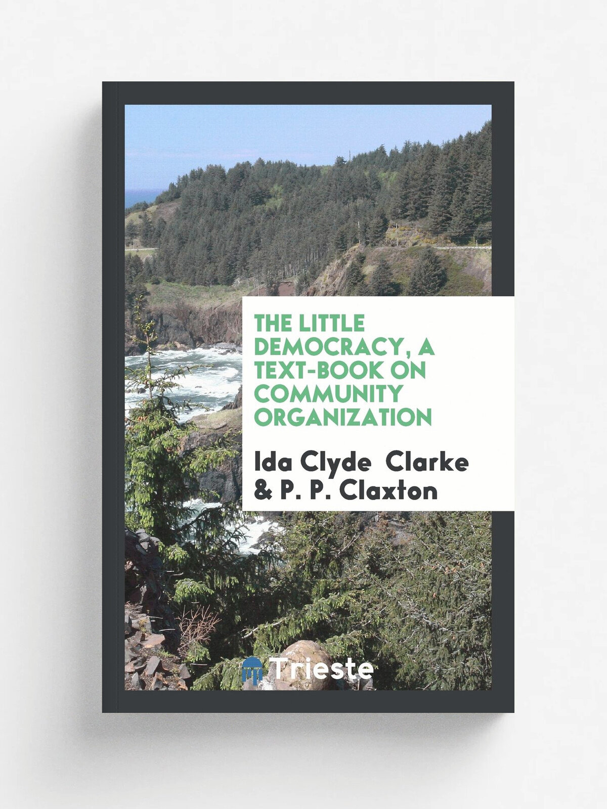 The little democracy, a text-book on community organization
