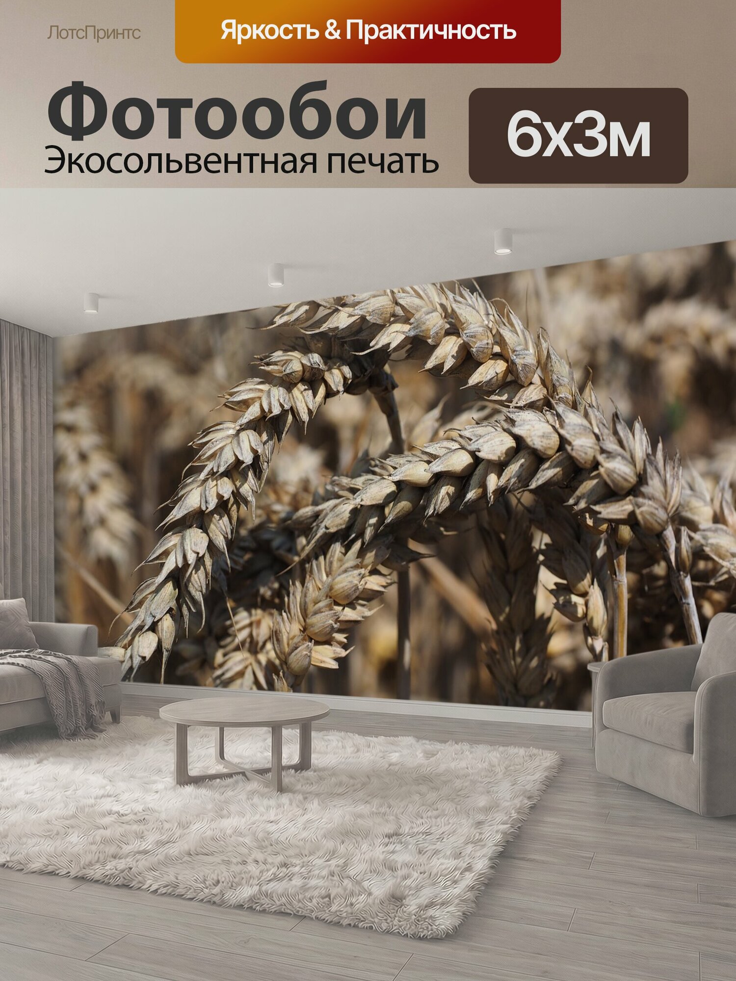 Фотообои "Пшеничный колос, пшеница, шип" 600x300 см. экосольвентная печать