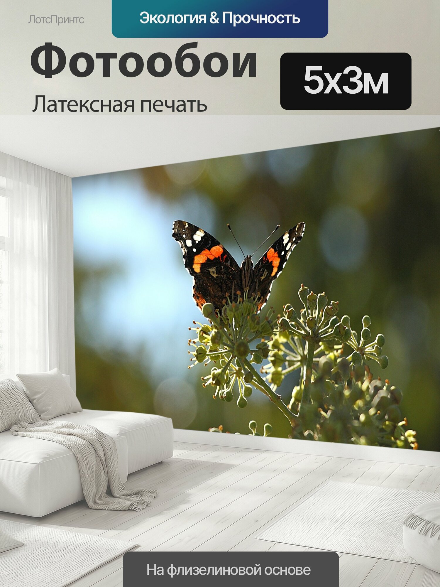 Фотообои моющиеся ударопрочные "Бабочка, адмирал, насекомое" 500x300 см. латексная печать