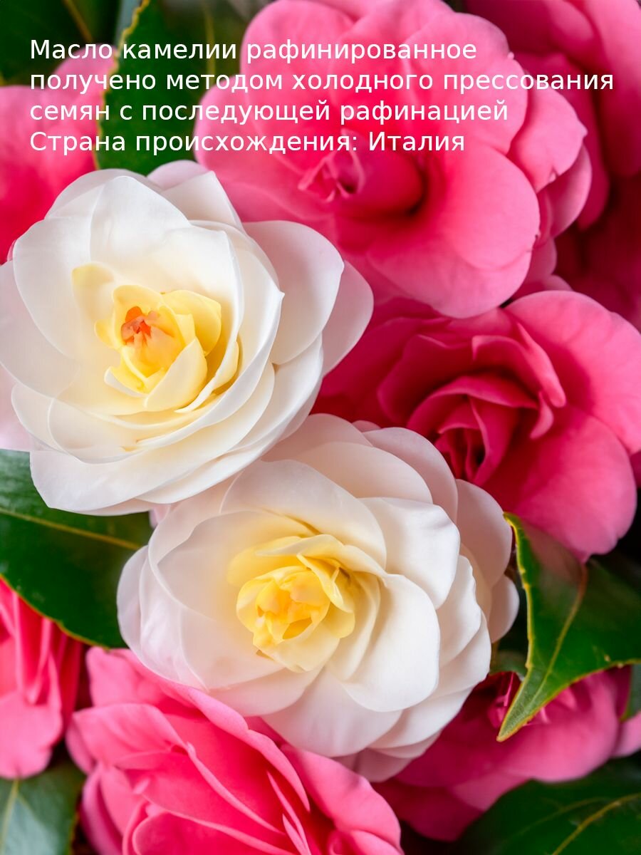 Масло камелии 15 мл — фото 1
