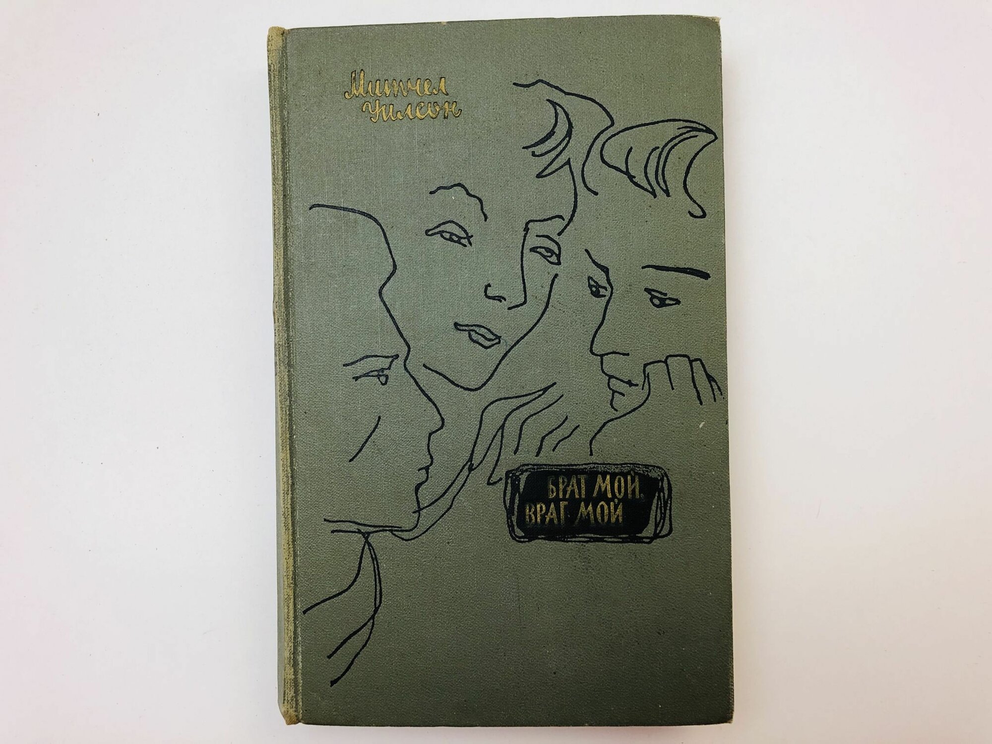 Брат мой, враг мой. Роман. Книга первая