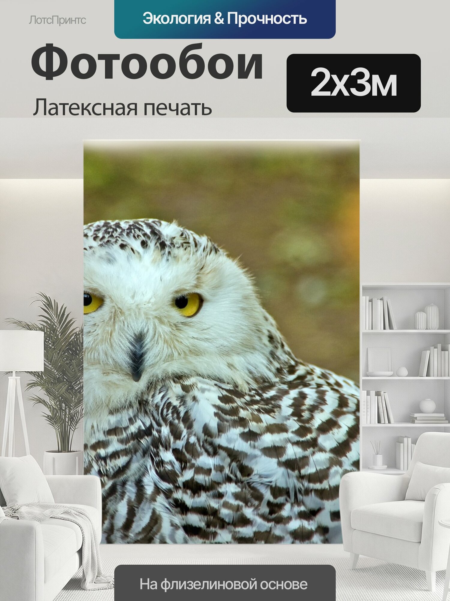 Фотообои моющиеся ударопрочные "Сова, природа, птица" 200x300 см. латексная печать