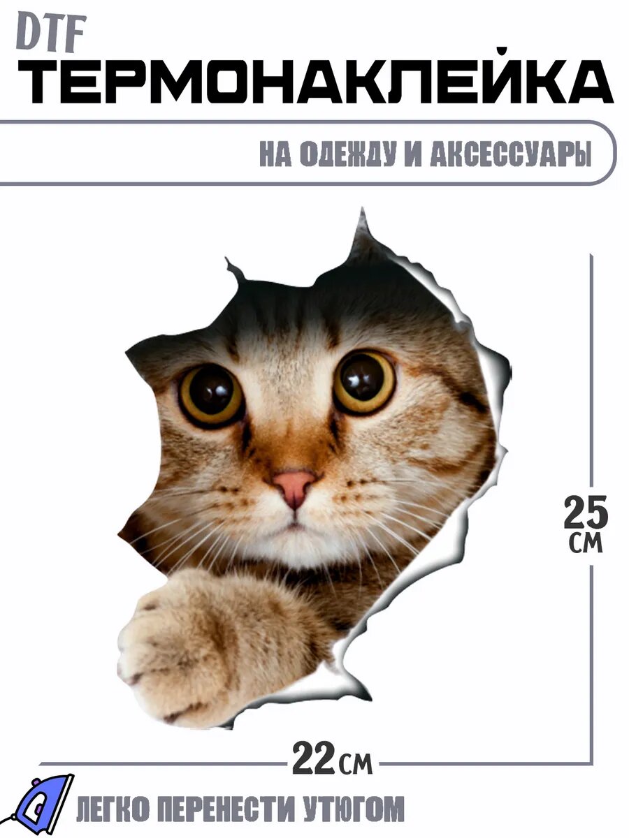 Термонаклейка кот пролезает сквозь стену
