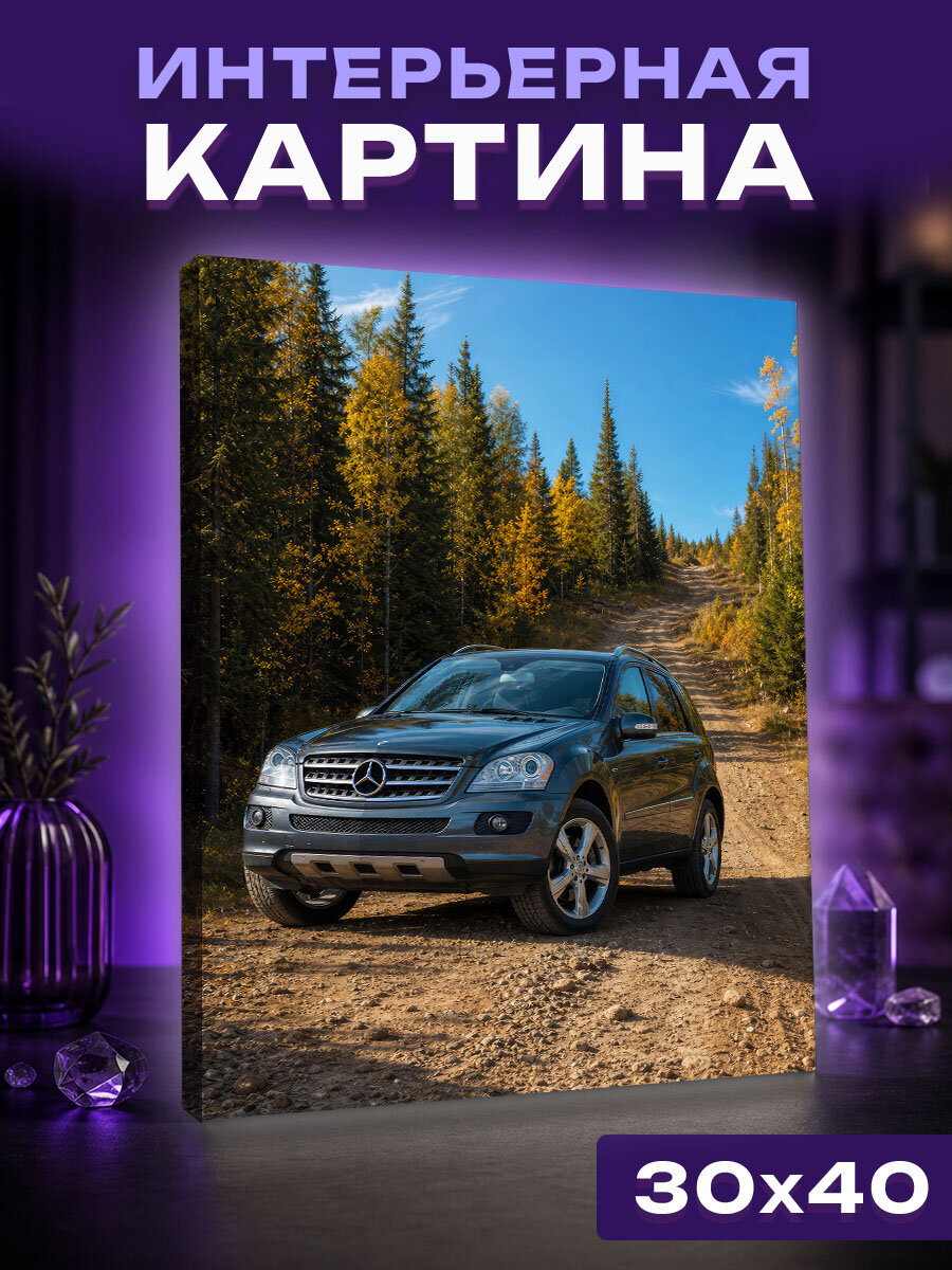 Интерьерная картина Осенний подъём через тайгу