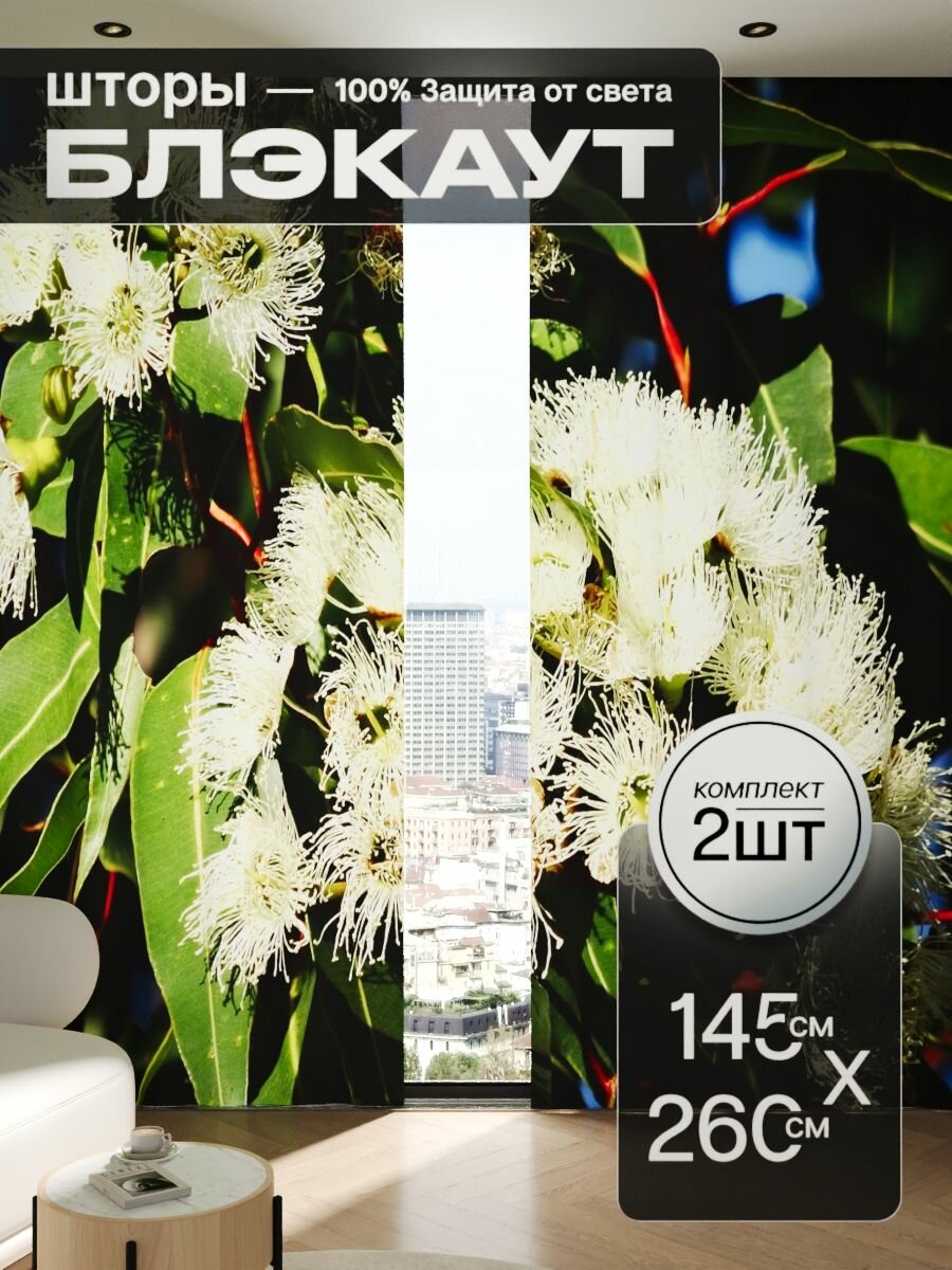 Шторы блэкаут 145x260 см 2 шт на окна плотные комплект