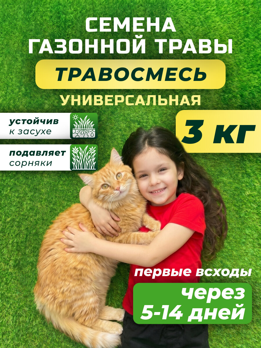 Семена газонной травы "Травосмесь универсальная", мятлик, овсяница, райграс, 3 кг