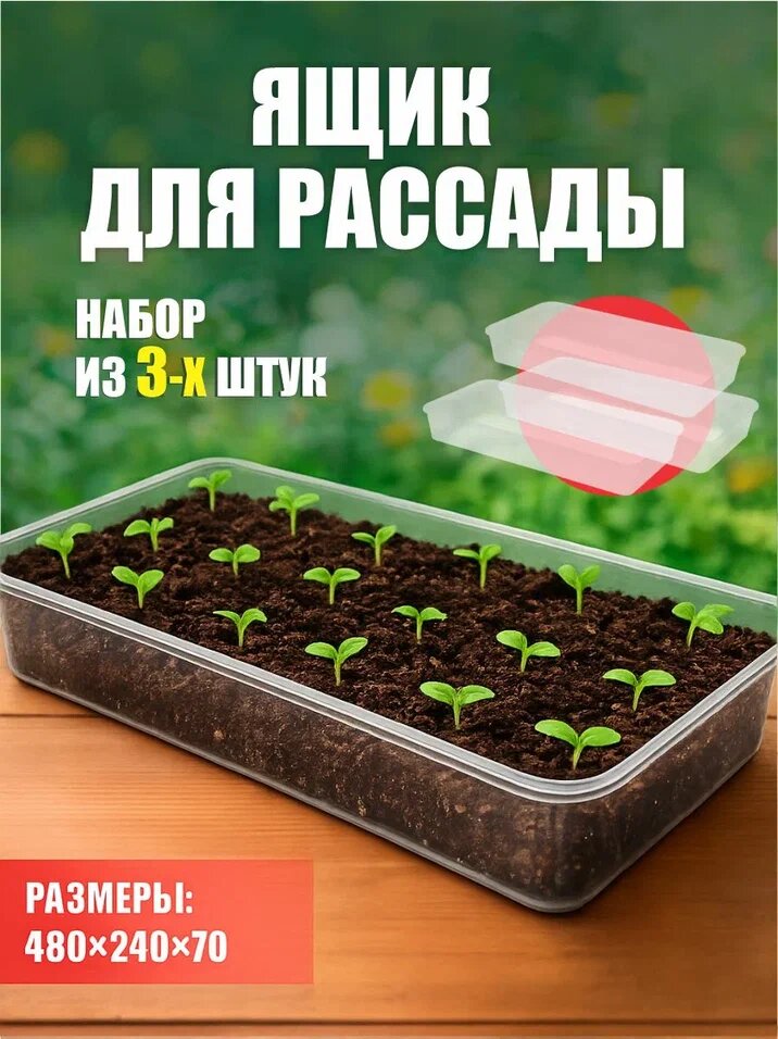 Комплект из 3-х ящиков для рассады для подоконника пластиковый 480*240*70