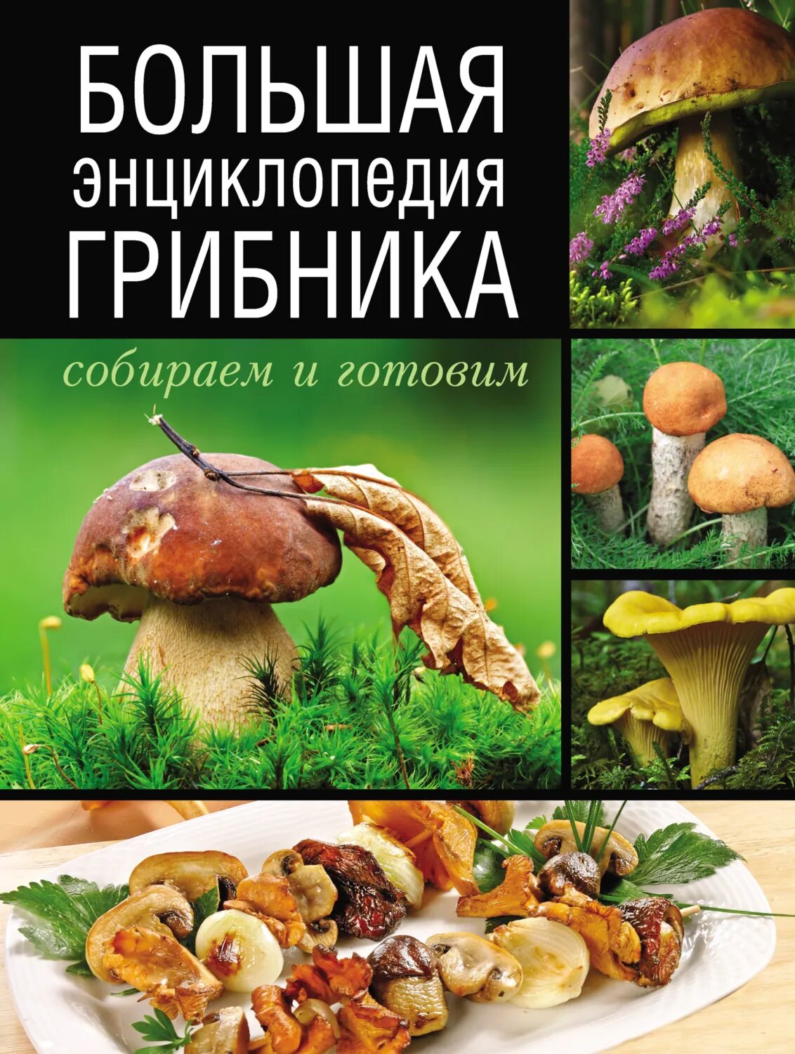 Большая энциклопедия грибника. Собираем и готовим [Цифровая книга]