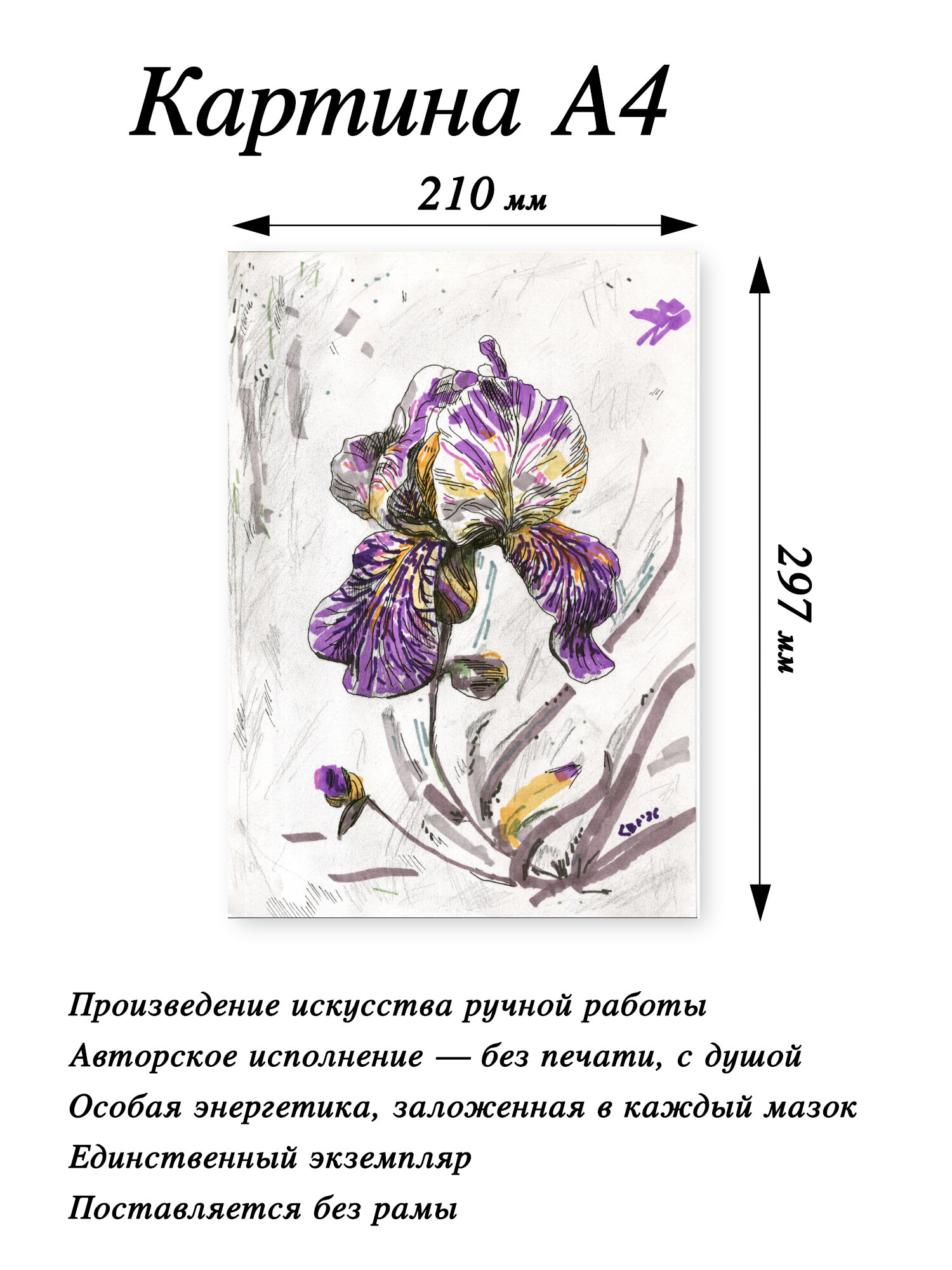 Авторская картина "Цветок ириса", ручная работа, художественные маркеры, 21х30 см